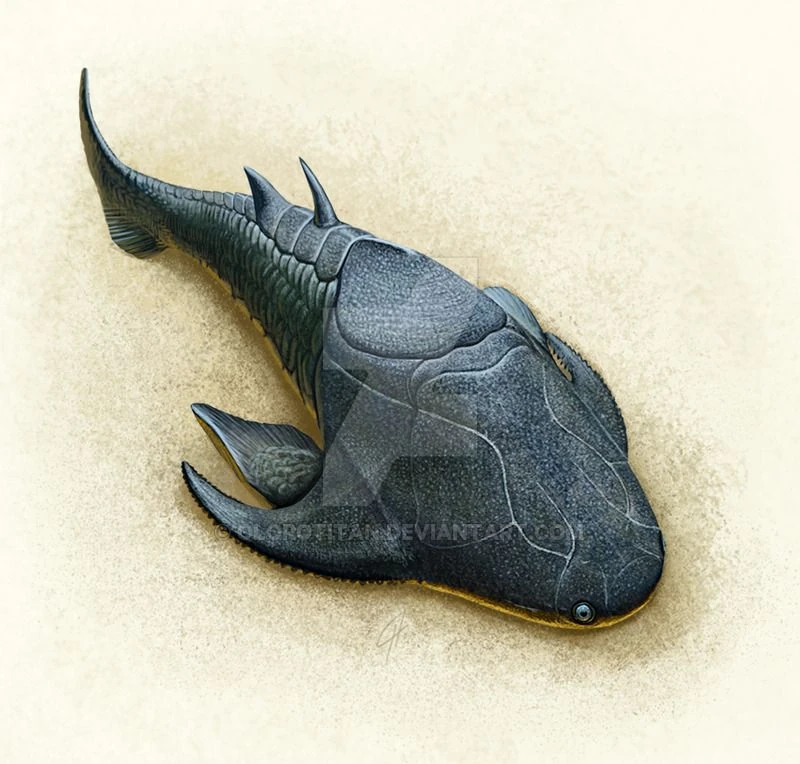 Armoured Scrapper shark | Speculative Evolution Wiki | Fandom