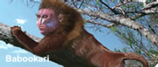 Babookari | Speculative Evolution Wiki | Fandom
