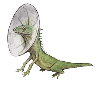 Parabolic Lizard | Speculative Evolution Wiki | Fandom