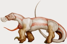 Snaiad | Speculative Evolution Wiki | Fandom