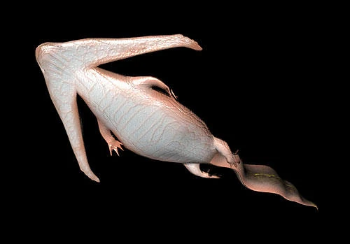 New ceratops | Speculative Evolution Wiki | Fandom