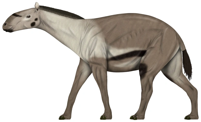 Lieran false horse (Liera) | Speculative Evolution Wiki | Fandom