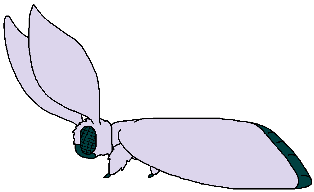 Fairy Moth | Speculative Evolution Wiki | Fandom