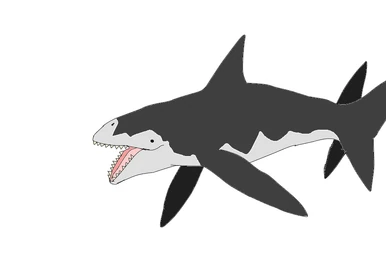 protocetus whale
