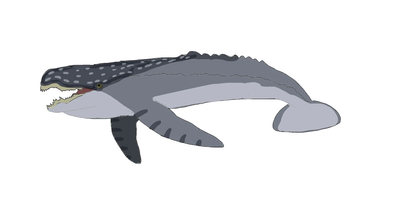 Future Evolution Of Whales