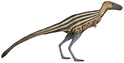 Plains dwarf tyrant (Liera) | Speculative Evolution Wiki | Fandom