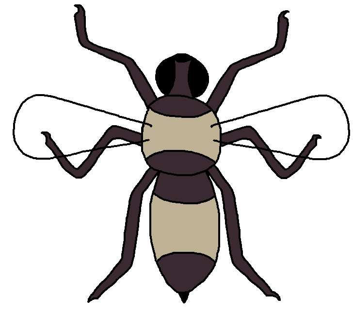 Death Fly | Speculative Evolution Wiki | Fandom