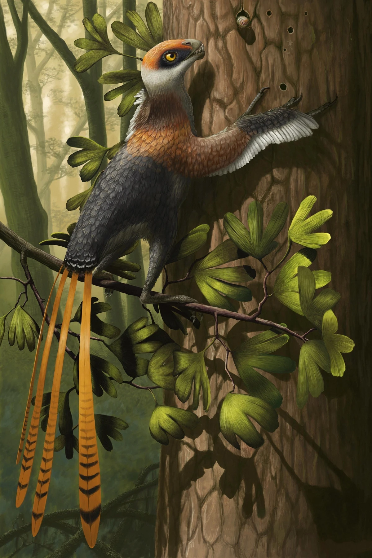 Wood wyvern (Liera) | Speculative Evolution Wiki | Fandom