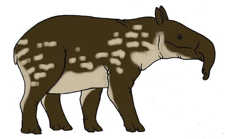 Andean mountain tapir (Ultra-Pleistocene) | Speculative Evolution Wiki ...