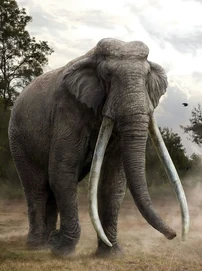 Great oliphaunt (Terra) | Speculative Evolution Wiki | Fandom
