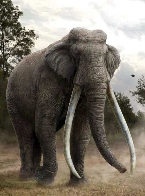 Great oliphaunt (Terra) | Speculative Evolution Wiki | Fandom