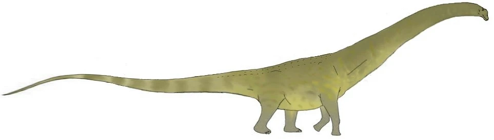 Great Plains slender sauropod (SciiFii World) | Speculative Evolution ...