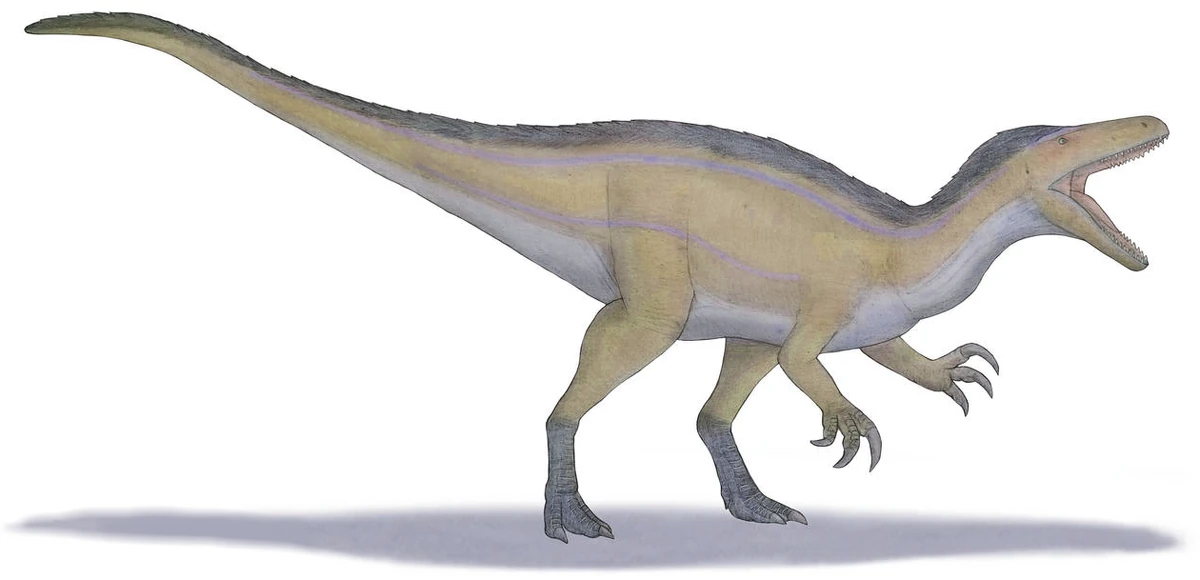 Maximoraptor lux (Liera) | Speculative Evolution Wiki | Fandom