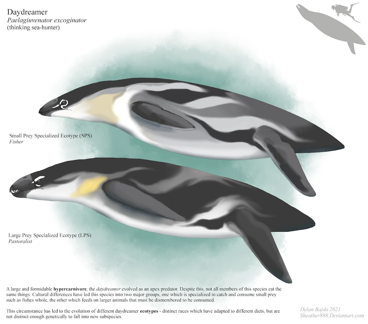 Daydreamer | Speculative Evolution Wiki | Fandom