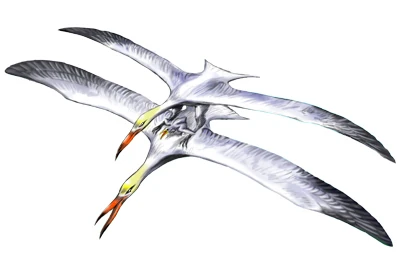 Bird of Paradise | Speculative Evolution Wiki | Fandom