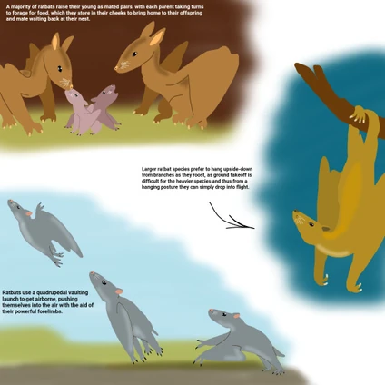 Bats All, Folks: The Ratbats | Speculative Evolution Wiki | Fandom