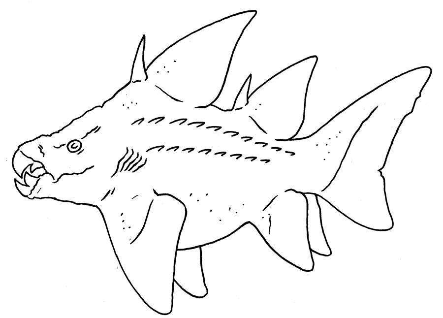 Parrot Shark | Speculative Evolution Wiki | Fandom