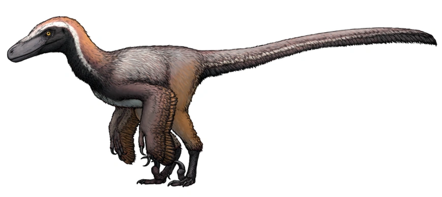 Pyroraptor tepuanus (Liera) | Speculative Evolution Wiki | Fandom