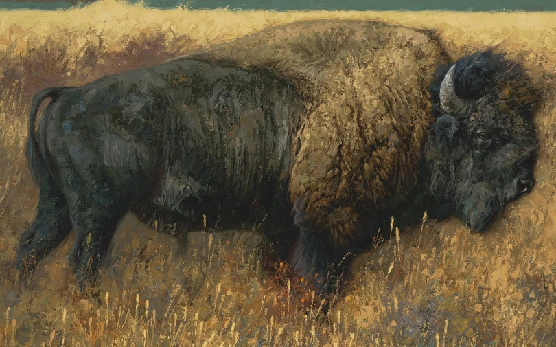 Aphone bison (Terra) | Speculative Evolution Wiki | Fandom