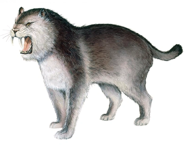 Bayun (Liera) | Speculative Evolution Wiki | Fandom