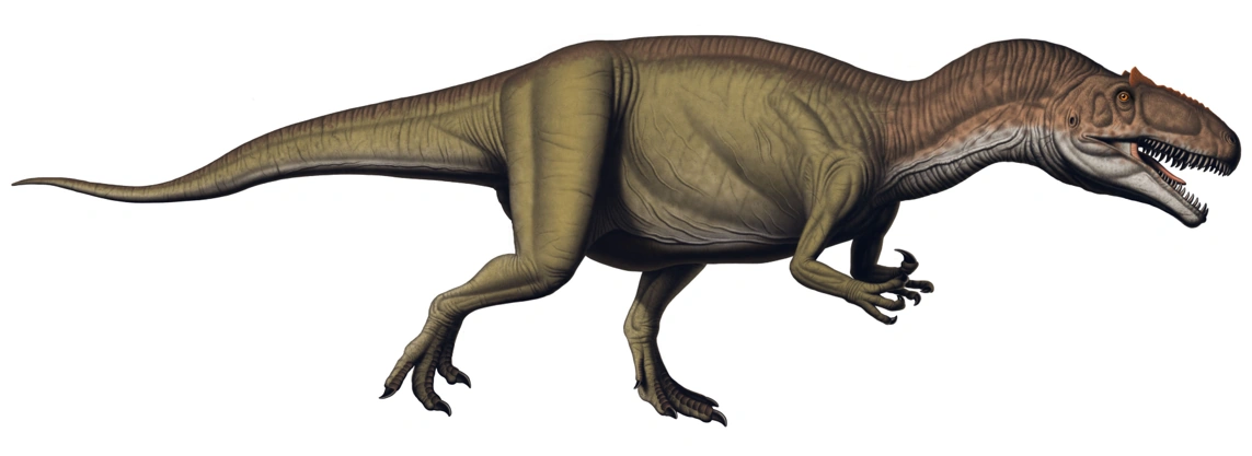 Allosaurus olseni (Liera) | Speculative Evolution Wiki | Fandom