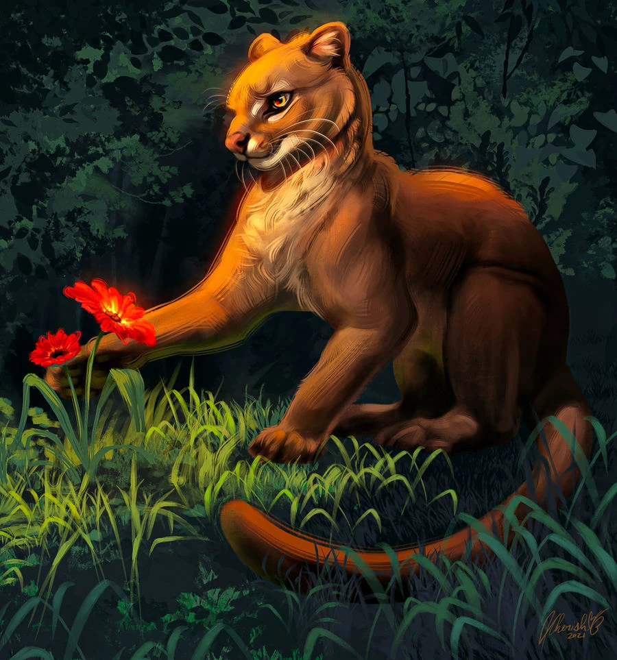 Eyra (Liera) | Speculative Evolution Wiki | Fandom