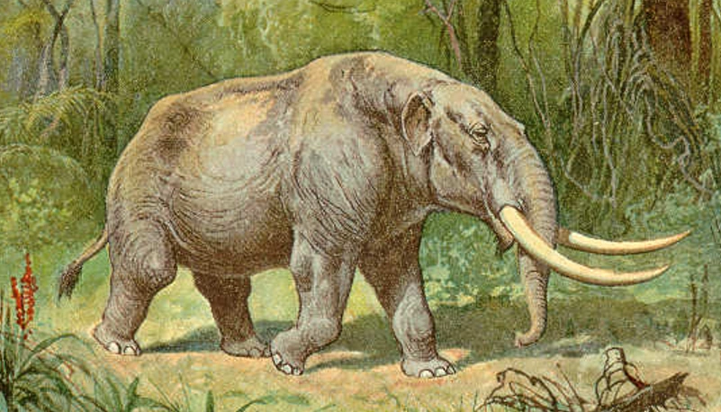 Isla Eugea (Planet X933) | Speculative Evolution Wiki | Fandom