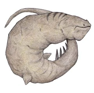 Leviathan | Speculative Evolution Wiki | Fandom