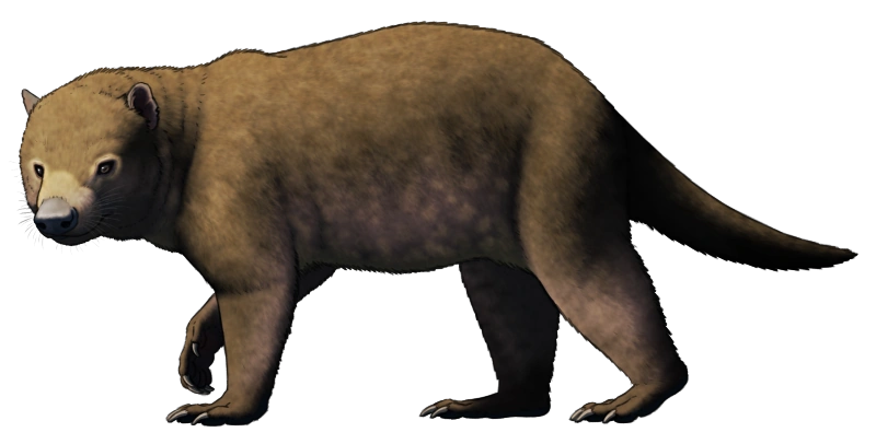 Marsupial hyena (Liera) | Speculative Evolution Wiki | Fandom