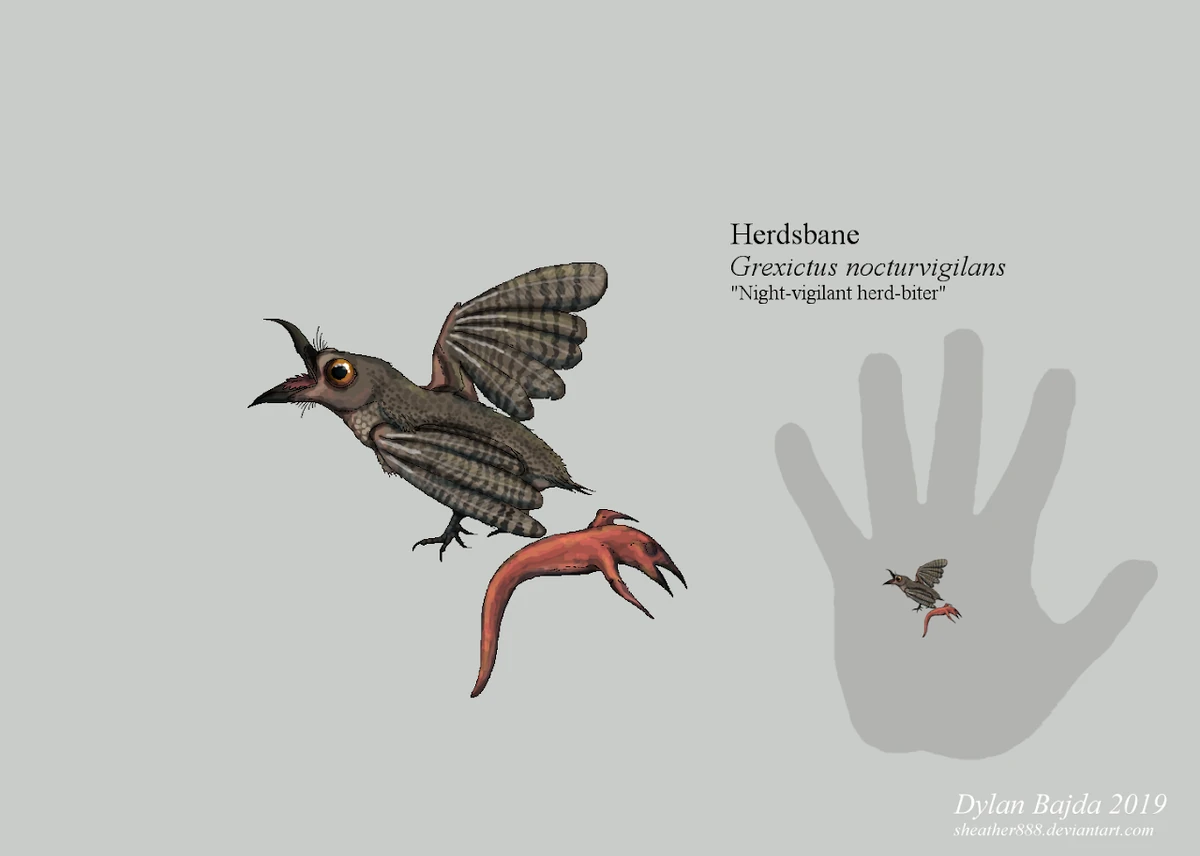 Metamorph birds | Speculative Evolution Wiki | Fandom
