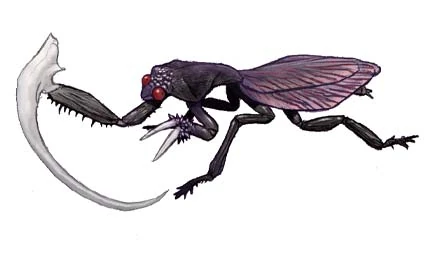 Mantis | Speculative Evolution Wiki | Fandom