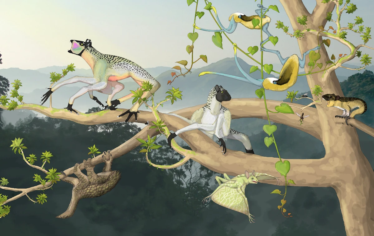 Simiagibs | Speculative Evolution Wiki | Fandom