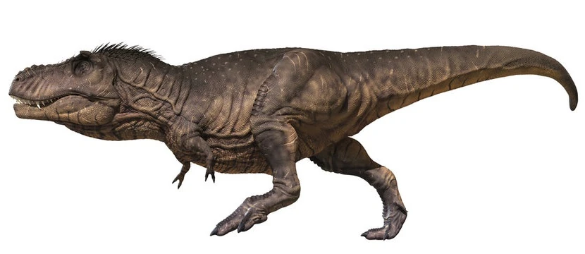 Lieran tyrant (Liera) | Speculative Evolution Wiki | Fandom