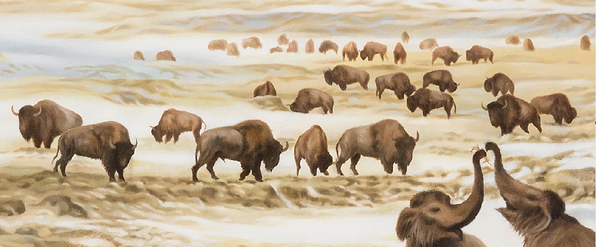 Euramerican bison | Speculative Evolution Wiki | Fandom