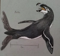 Common peggle (Liera) | Speculative Evolution Wiki | Fandom