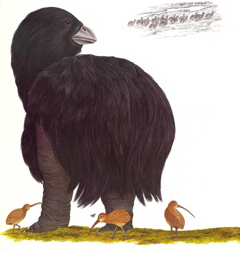 Tromble | Speculative Evolution Wiki | Fandom