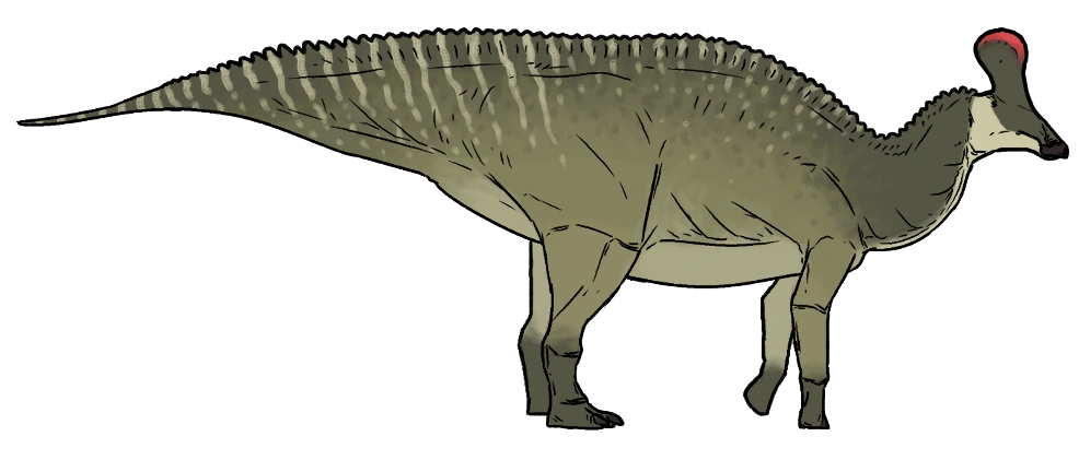 Broad-crested horsebeast (Liera) | Speculative Evolution Wiki | Fandom