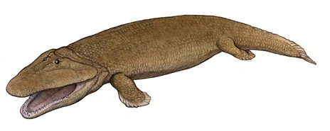 Proto-amphibian | Speculative Evolution Wiki | Fandom