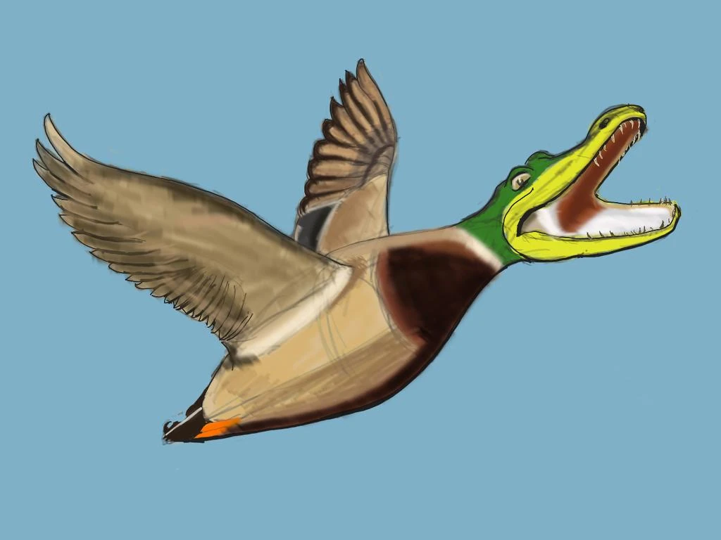 Falcon duck(New Pliestocene) | Speculative Evolution Wiki | Fandom