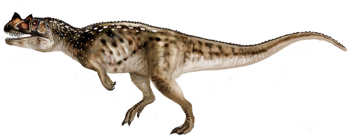 Ceratosauridae Terra Speculative Evolution Wiki Fandom