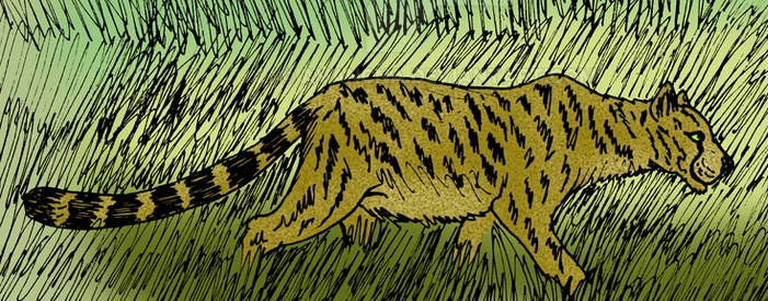 Endoran cat (Endora) | Speculative Evolution Wiki | Fandom