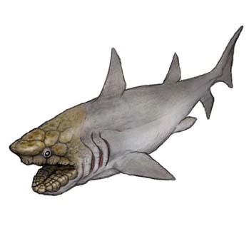 Press shark | Speculative Evolution Wiki | Fandom