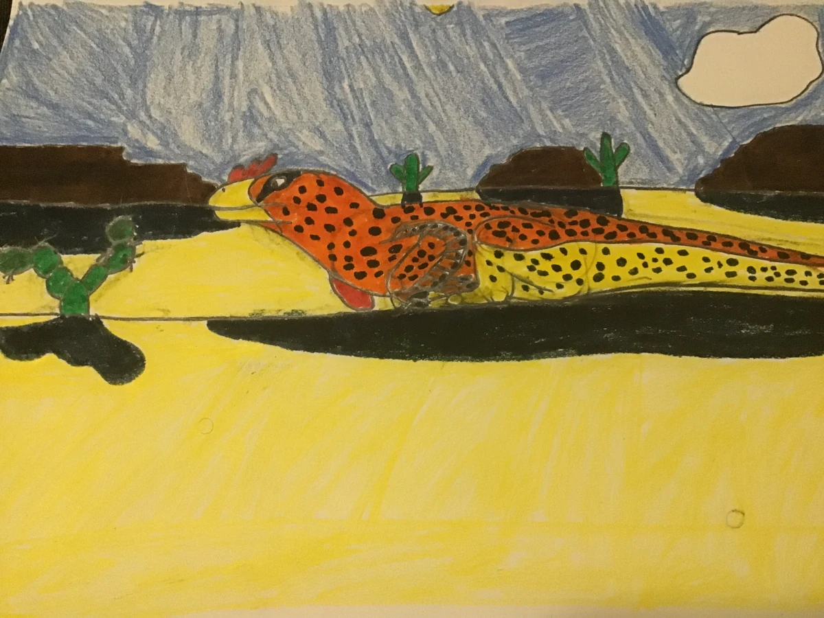 Scowling Raptor | Speculative Evolution Wiki | Fandom