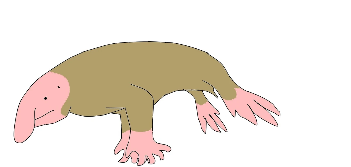 Sea monkey | Speculative Evolution Wiki | Fandom