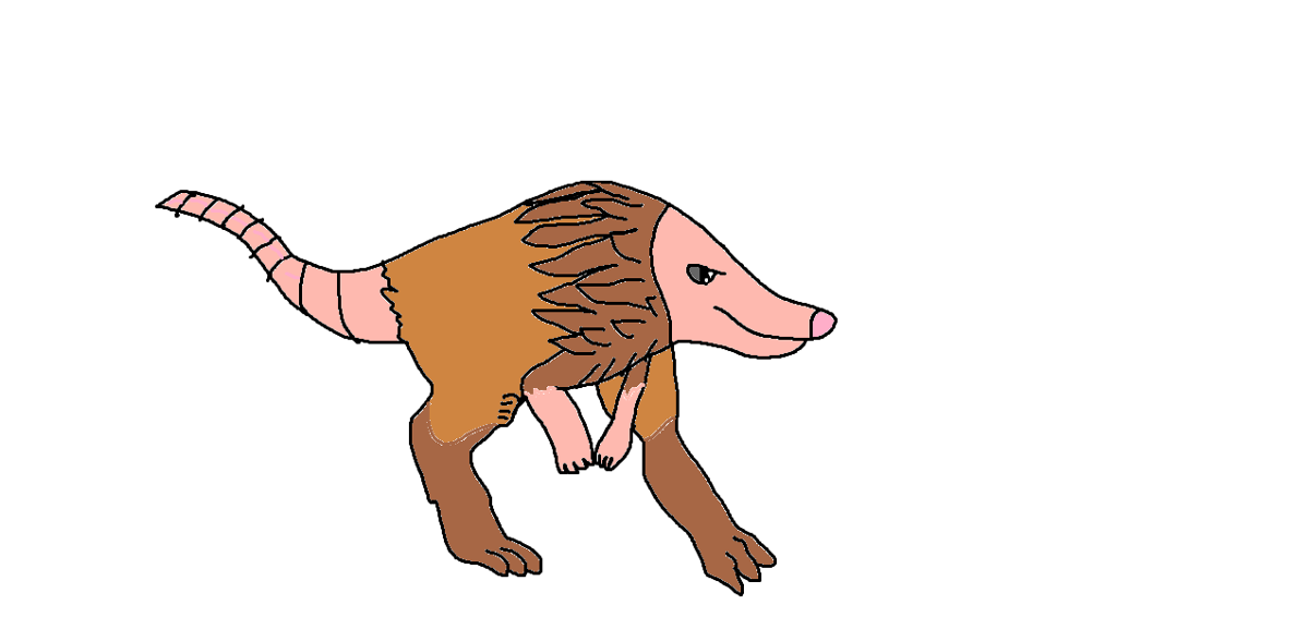 Category:Shrews | Speculative Evolution Wiki | Fandom