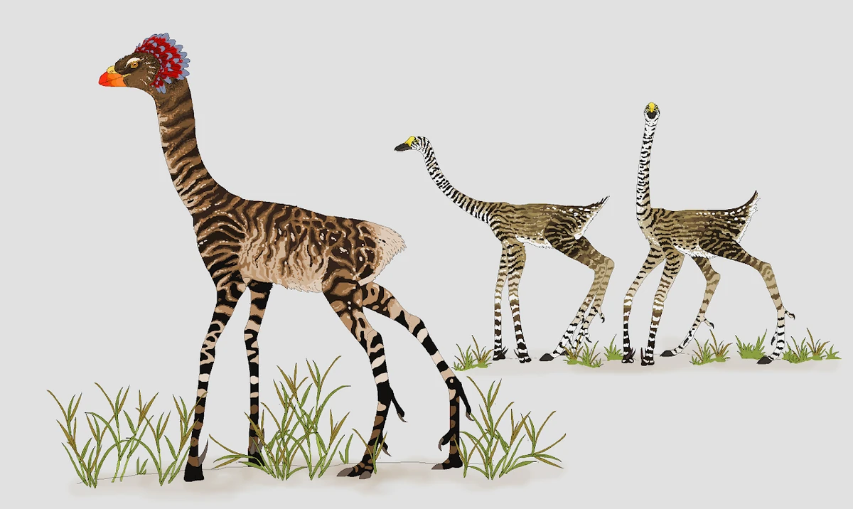 Eornis | Speculative Evolution Wiki | Fandom