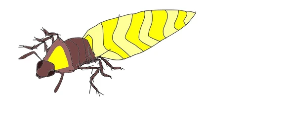 Royal cockroach | Speculative Evolution Wiki | Fandom