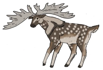 Andean elk (Ultra-Pleistocene) | Speculative Evolution Wiki | Fandom