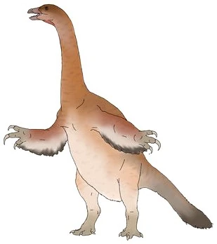 Brown sythebird (Liera) | Speculative Evolution Wiki | Fandom