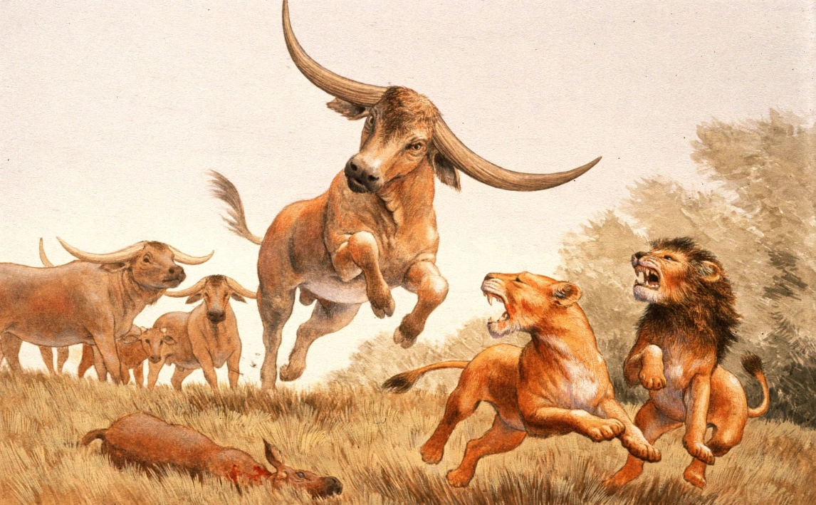 Golacorn (Planet X933) | Speculative Evolution Wiki | Fandom